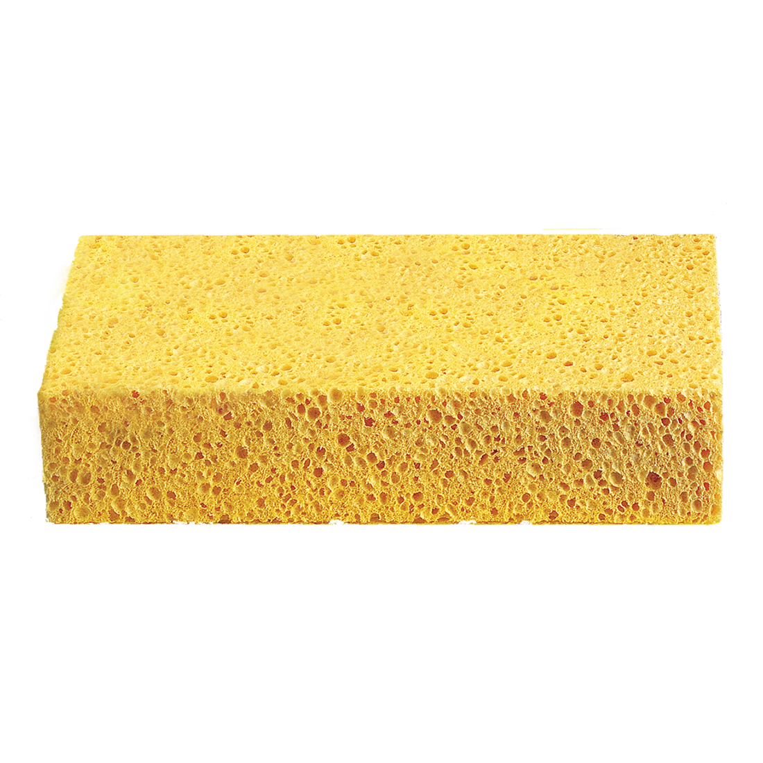 Cellulose Sponges
